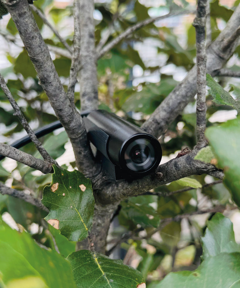 GoTEK7 Security Solutions